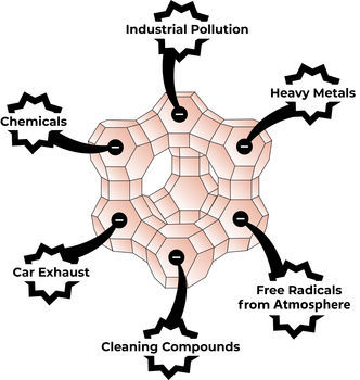 Zetox: harnessing the cleansing properties of Zeolite in Skin Care